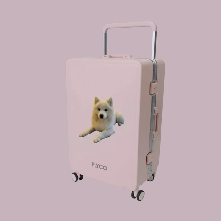 World's First Luggage Personalization for Travel – FLYCO Singapore